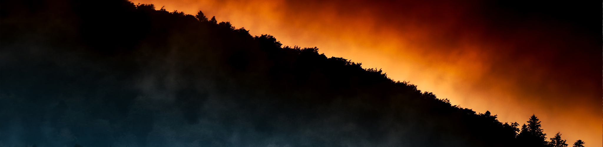 3 Reasons to Insure Your Carbon Credits - Oka, The Carbon Insurance Company