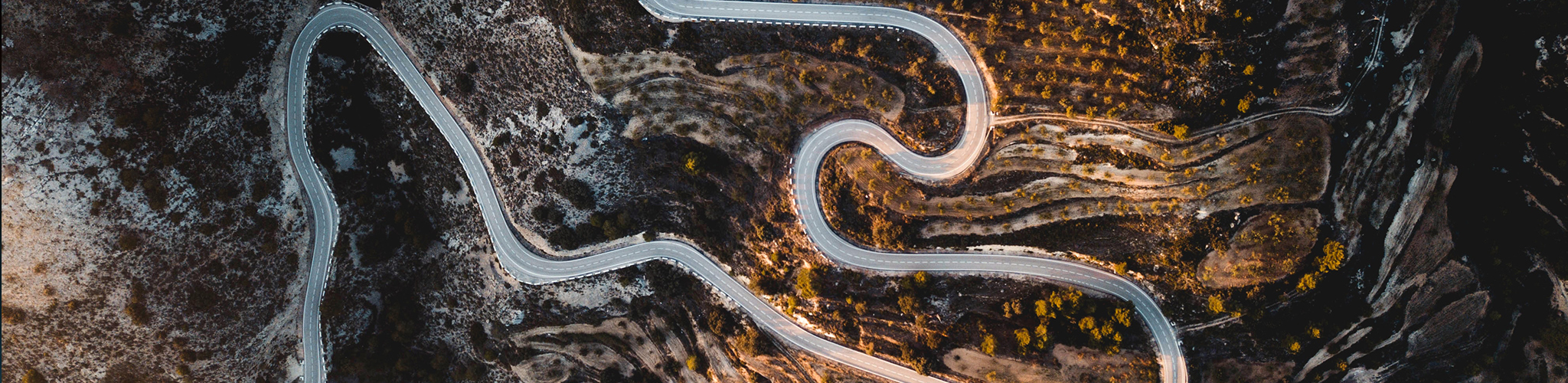 What Do the Core Carbon Principles Mean for You? - Oka, The Carbon ...