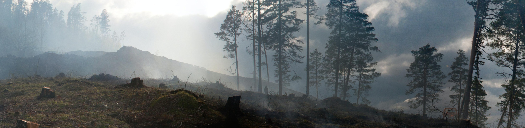 Count Your Carbon Credit Risks - Oka, The Carbon Insurance Company