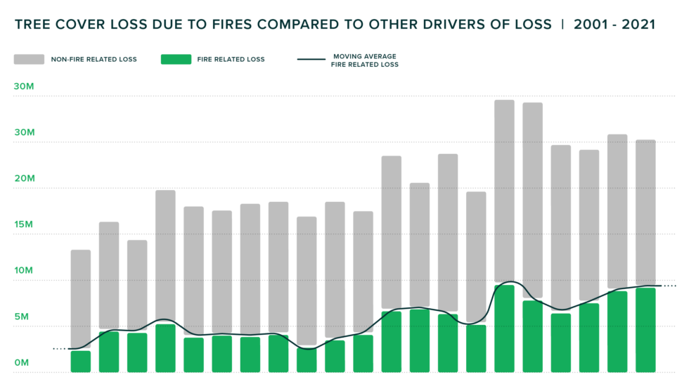 Count Your Carbon Credit Risks - Oka, The Carbon Insurance Company