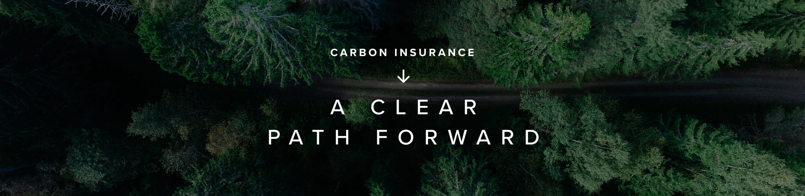 Contact - Oka, The Carbon Insurance Company