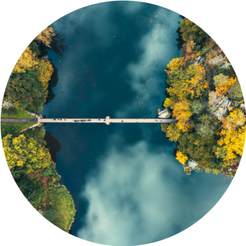 Home - Oka, The Carbon Insurance Company