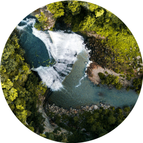 Home - Oka, The Carbon Insurance Company